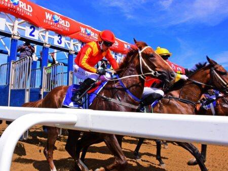 SA Horse Racing Predictions