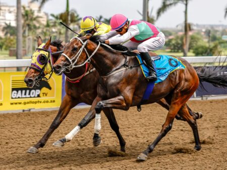 SA Horse Racing Predictions